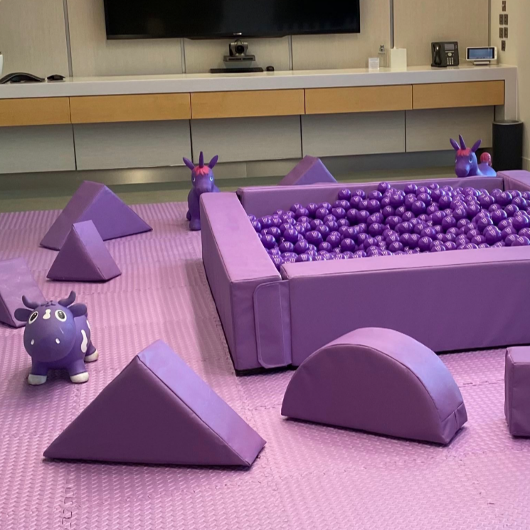 LILAC / PURPLE SOFT PLAY SET – littlepartyhireuk